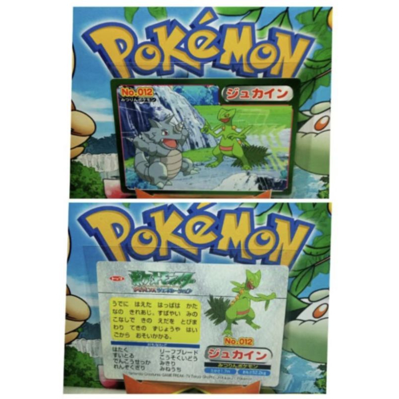 Sceptile Rhyhorn Pokemon Cards Advanced Generations Vintage Japanese ...