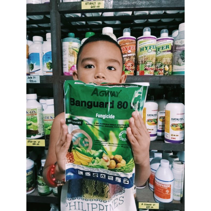 Banguard-80WG-Fungicide | Shopee Philippines