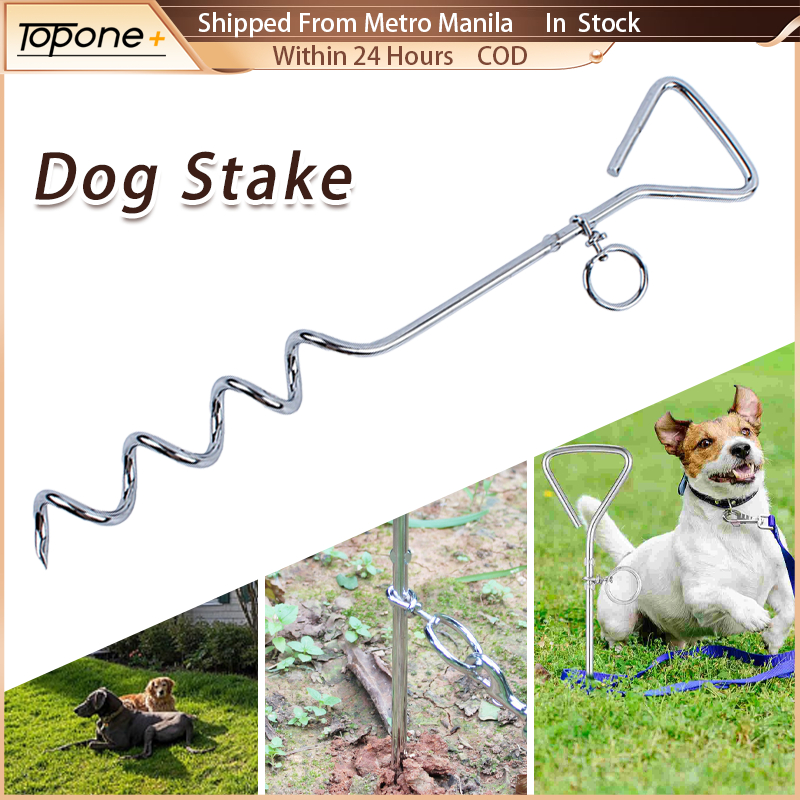 Dog Stake Pet Traction Rope Fixed Pile Metal Spiral Anchor Tie-Out With ...