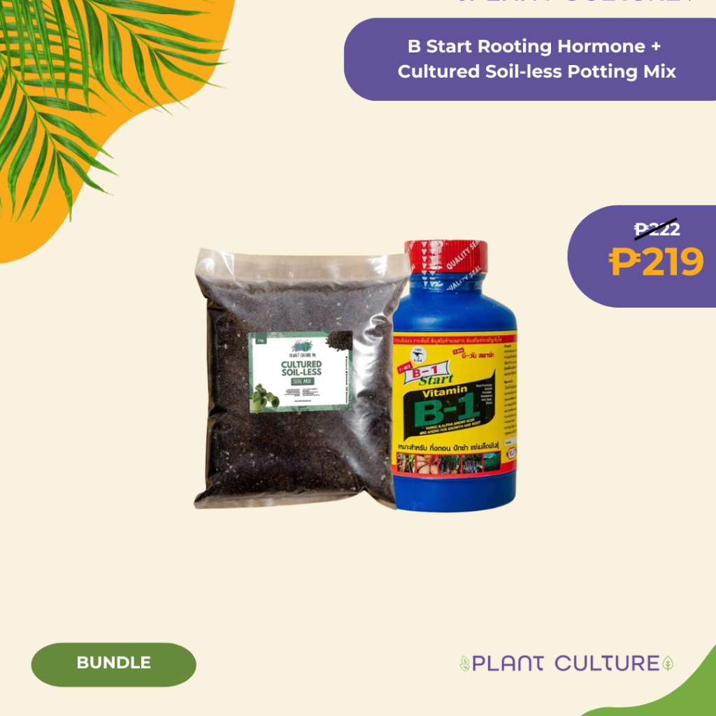 B Start Rooting Hormone + Cultured Soil-less Potting Mix by Plant ...