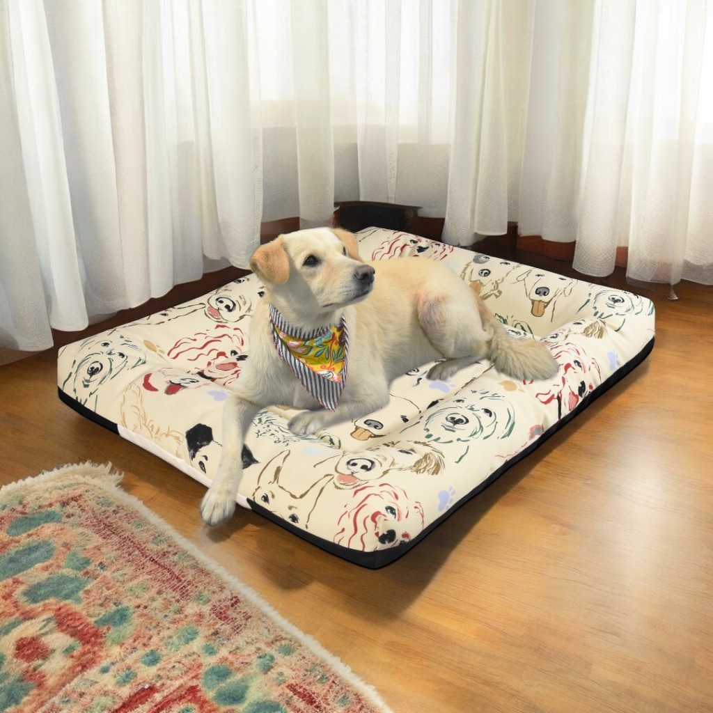 PUPKits CAT and DOG Patterned Pet Mat - Pare Pare / Check check ...