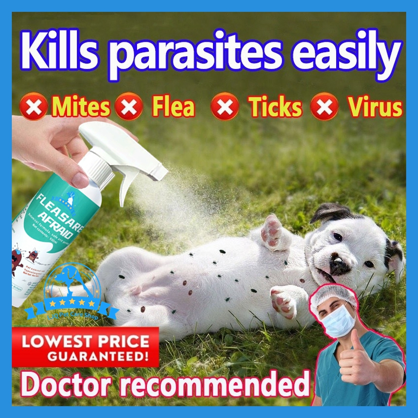 Remover For Dog Anti Flea And Tick For Dog Spray Pamatay Garapata Sa ...