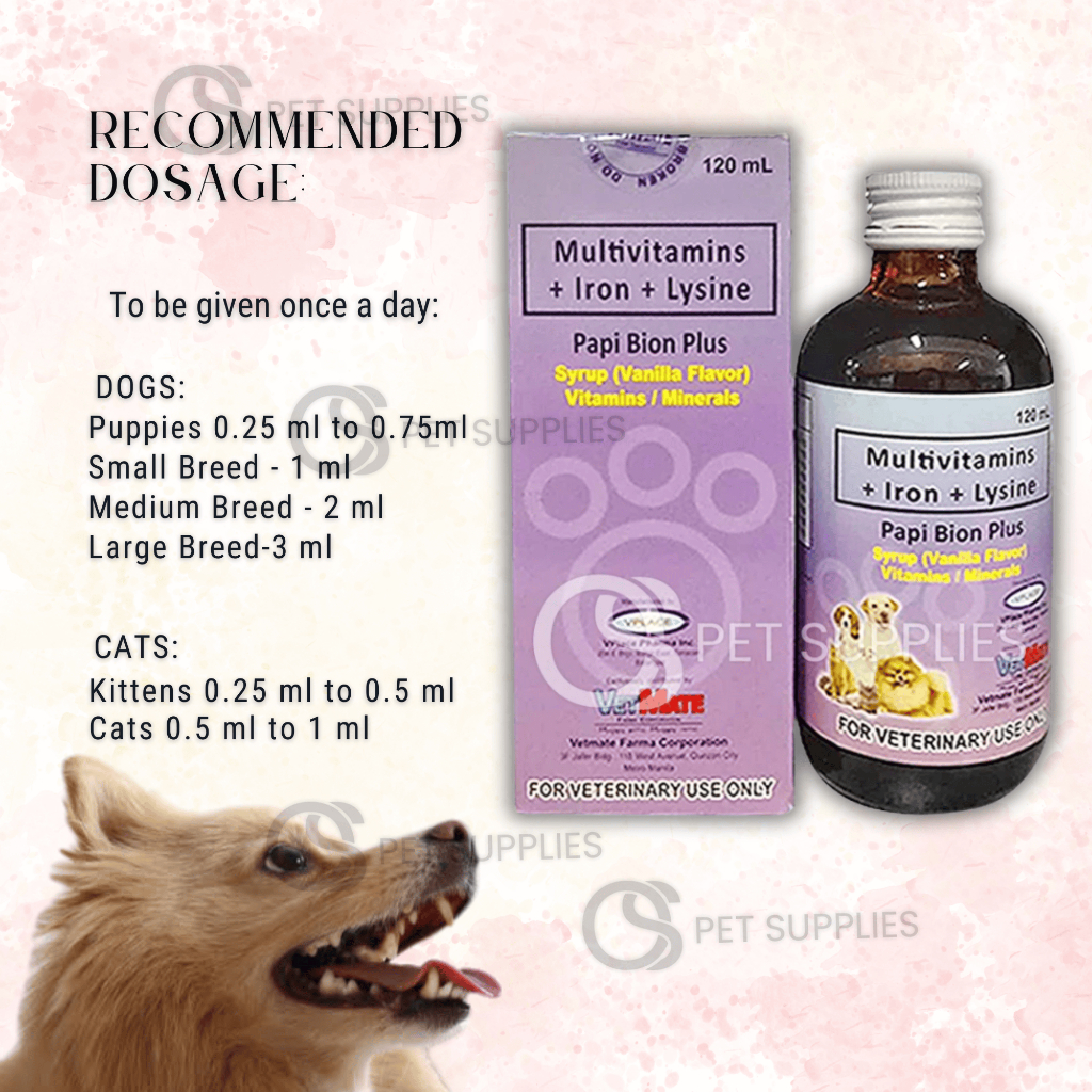 TBS-Papi Bion Plus Syrup Multivitamins+Iron+Lysine Vanilla Flavor ...