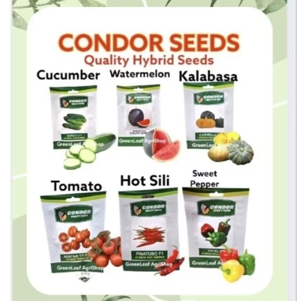 Condor Quality Trusted Vegetable/ Gulay Seeds Sold per Original Pack ...