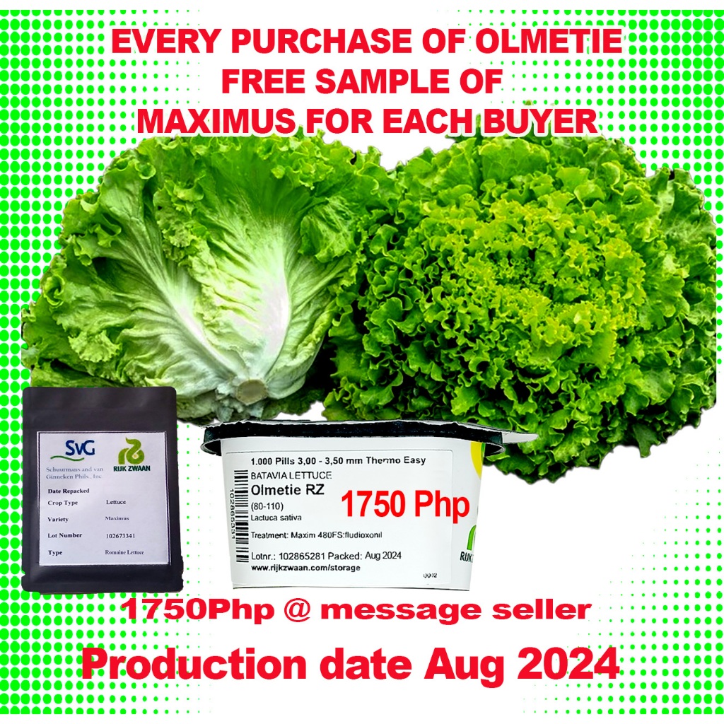 Olmetie seeds RZ 1000 pelletized (Original Pack) with free MAXIMUS ...