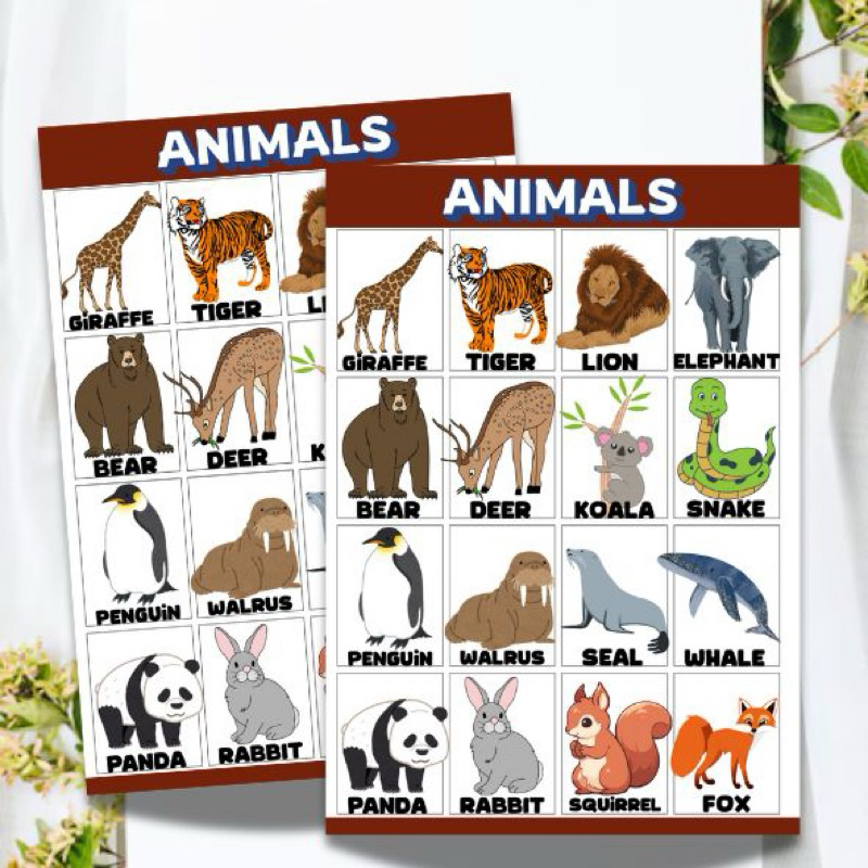 1 PC. LAMINATED CHARTS "ANIMALS" EDUCATIONAL CHART FOR KIDS (A4 SIZE ...