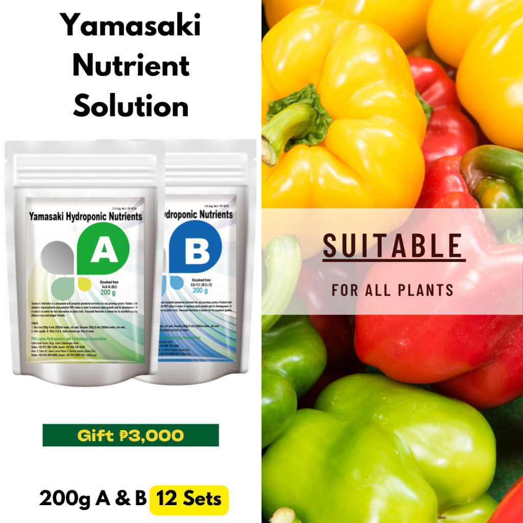 Yamasaki Nutrient Solution 400gX12, complete fertilizer, hydroponic ...