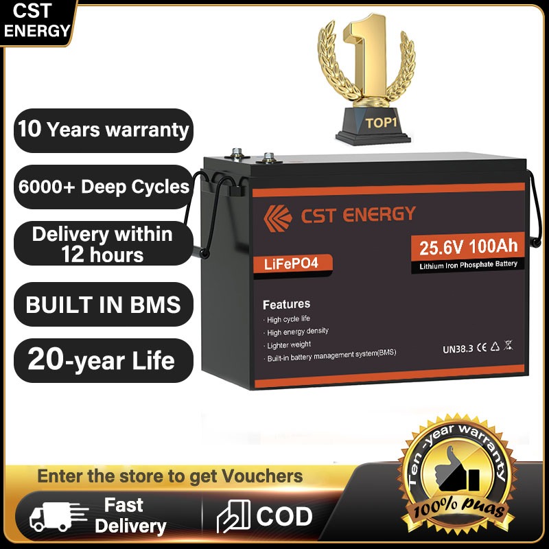 CST ENERGY Lithium Battery 24V 100AH LifePO4 Battery Built in BMS Can ...