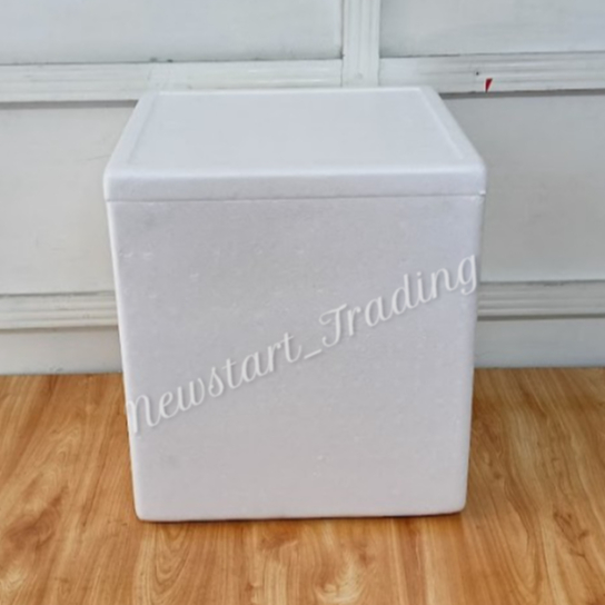 #BOX2 (BIG BOX) STYROBOX / STYRO BOX / PICNIC BOX ICE CHEST / ICE BOX ...