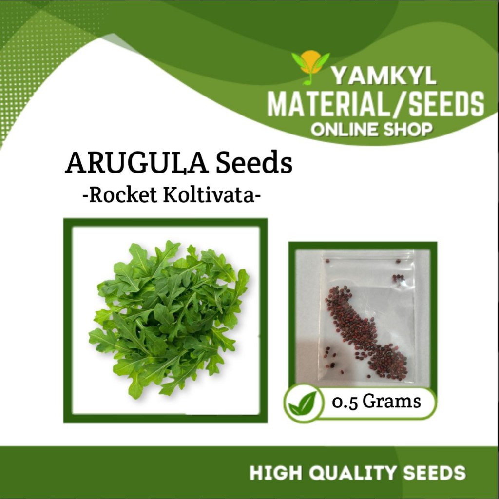 ARUGULA Seeds (Rocket Koltivata) High Quality Plant | Shopee Philippines