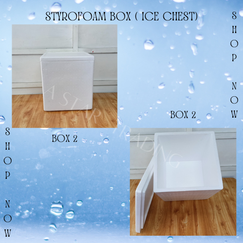 BOX 2 / STYROFOAM / STYROBOX PICNIC BOX ICE CHEST / STYRO BOX / STYRO ...