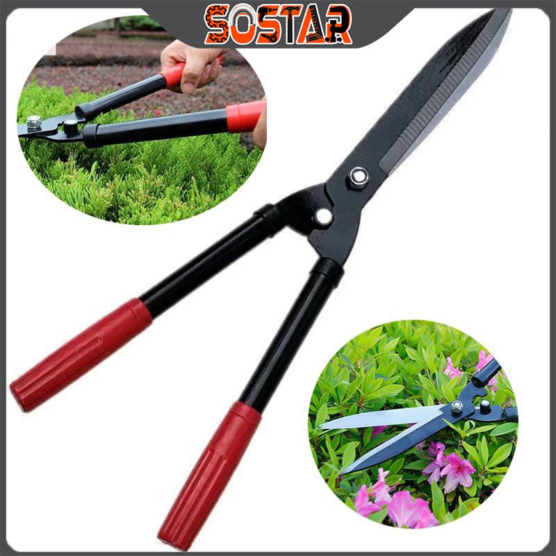 New Grass Cutting Scissor Gardener Steam Cutter Home Gardening Cutting ...