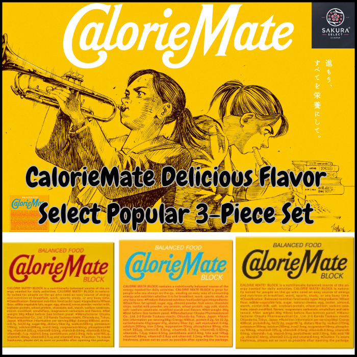 CalorieMate Block Recommended Flavors 4 Pieces Chocolate Vanilla Maple ...