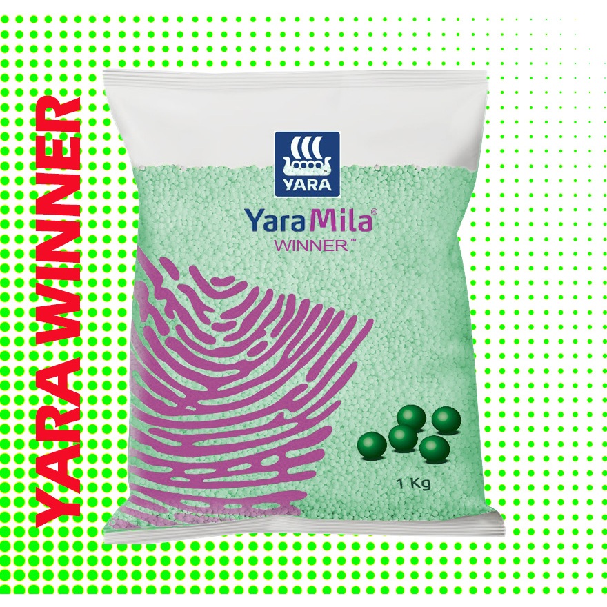 Winner (15-9-20 +2MgO +4S +TE) by YaraMila 1kg | Shopee Philippines
