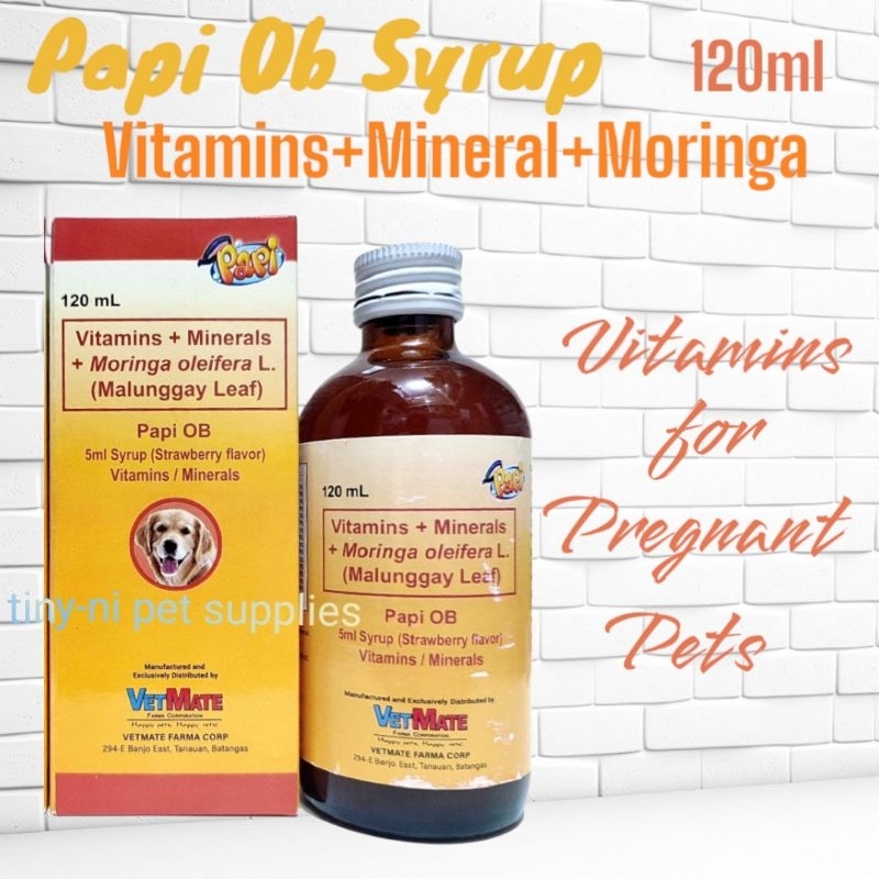 Papi OB_pet Syrup for Dog Cat|120ml Pre and Post Natal Supplement ...