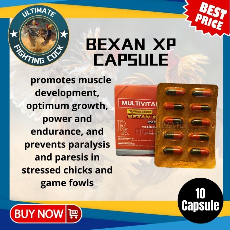 BEXAN XP CAPSULE 10 CAPSULE (SOLD PER BANIG) | Shopee Philippines