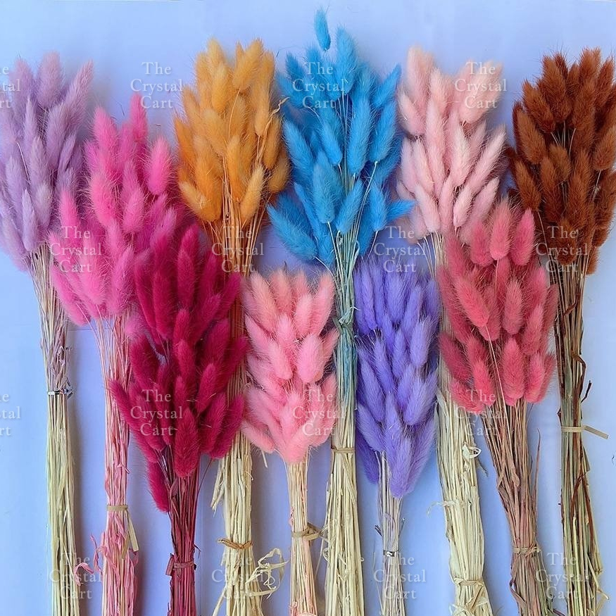 Natural Dried Bunny Tails Flower Bunch Reed Grass DIY Home Wedding ...