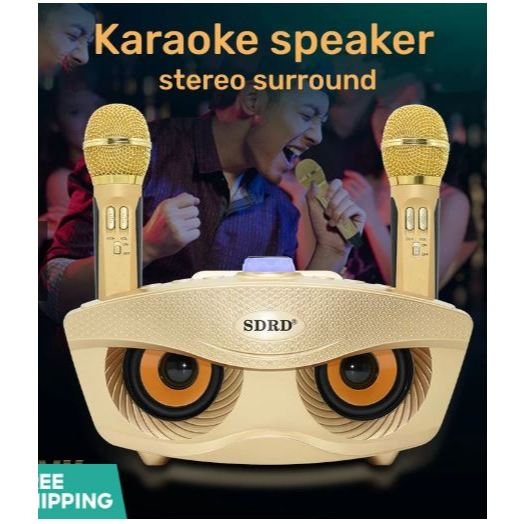 SDRD SD306 Professional Bluetooth Karaoke Speaker with Two Wireless ...