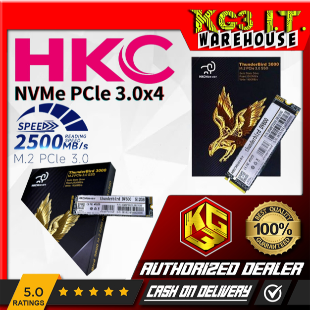 HKC Thunderbird DV600 1TB NVME M.2 SSD For Desktop/Laptop Storage ...