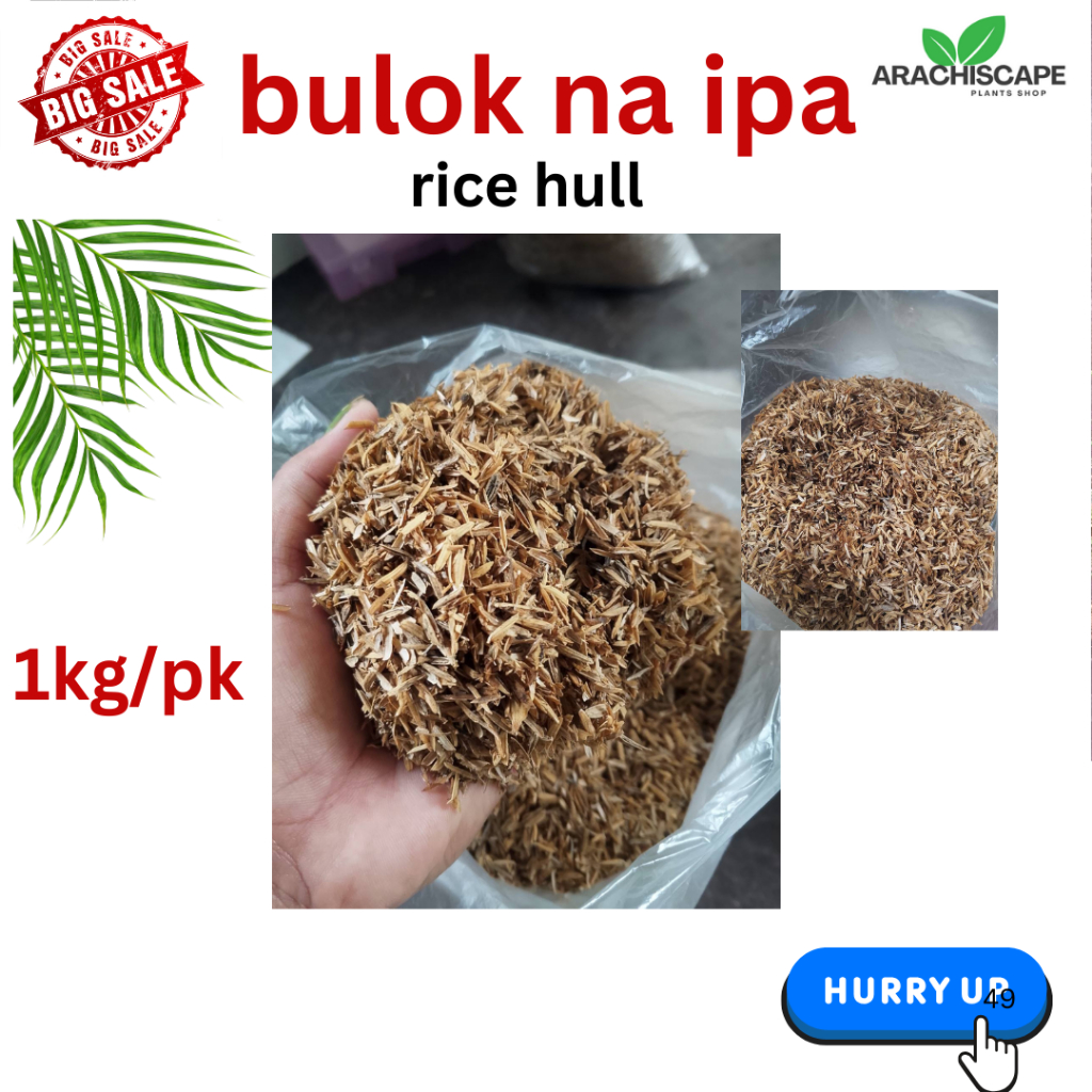 COMPOSTED RICEHULL..(BULOK NA IPA)panggamit s halaman,gulay or kahit ...