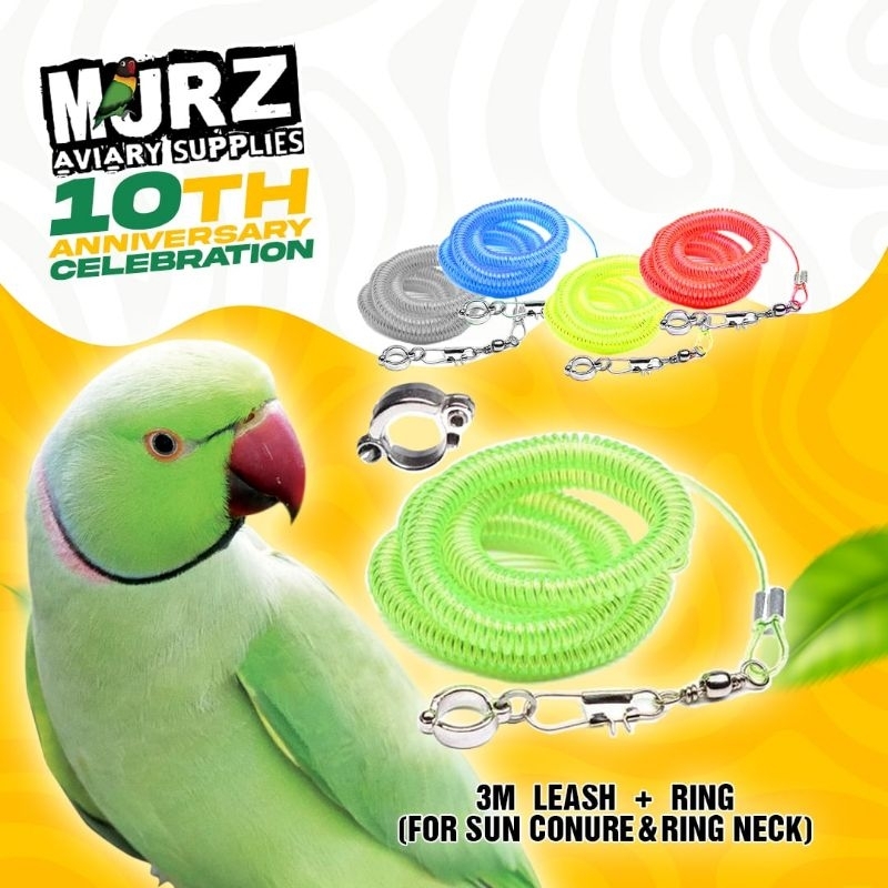 Training Leash with Ring (Albs, Cockatiels/Conure & Ringnecks) | Shopee ...