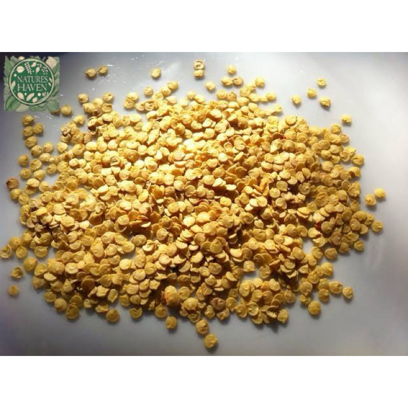 Siling panigang seeds for planting (1000 seeds) | Shopee Philippines