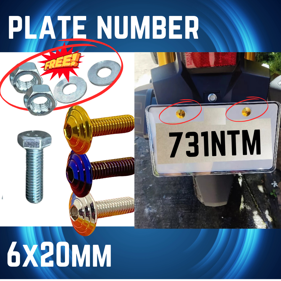 (2pcs) Plate Number Big Head Heng Bolts 6x20mm Turnilyo ng Plaka ng ...
