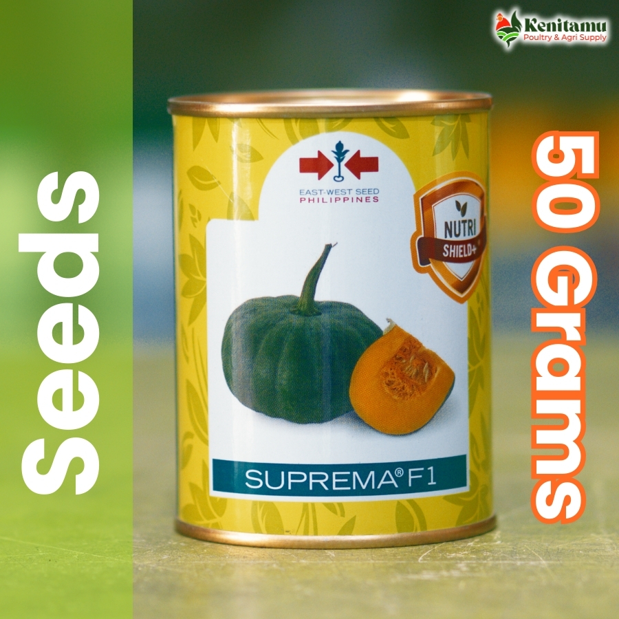 SQUASH SUPREMA F1 50g BY: EASTWEST SEED | Shopee Philippines