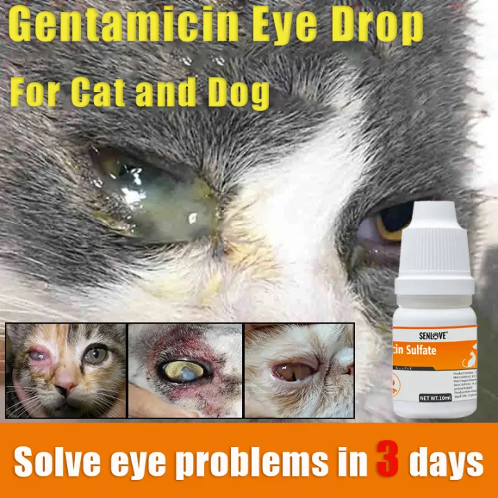 SENLOVE Gentamicin Eye Drop For Dog And Cat Eye Drops For Cats Treating ...