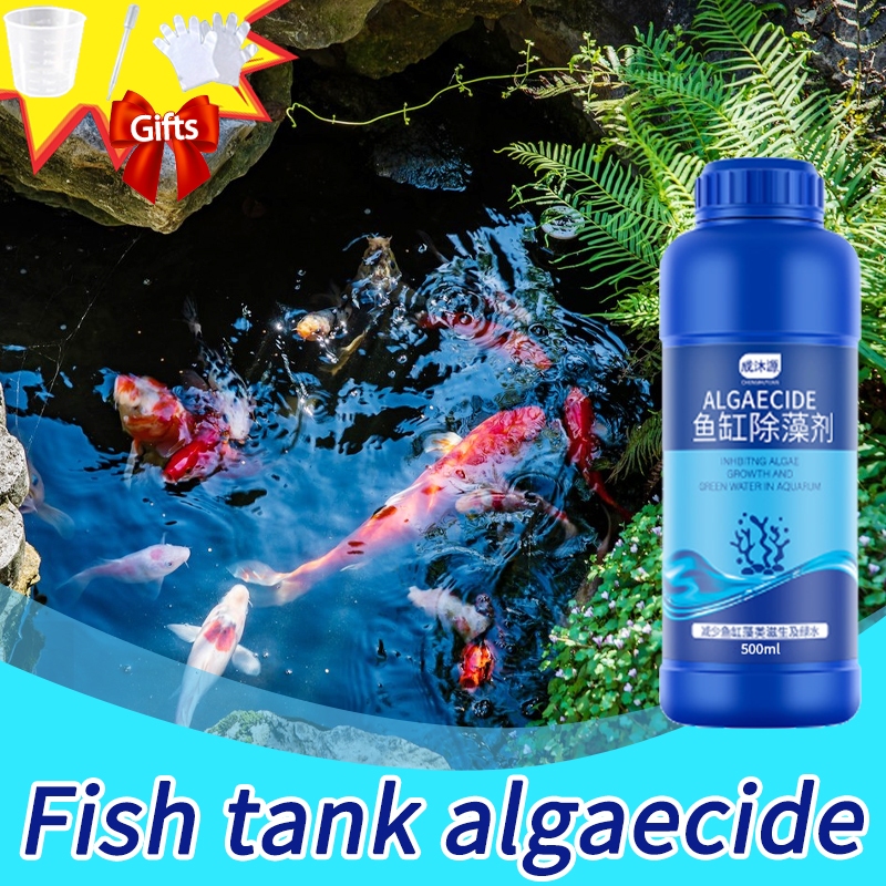 No harm to fish algae remover for aquarium 550ml aquarium water cleaner ...