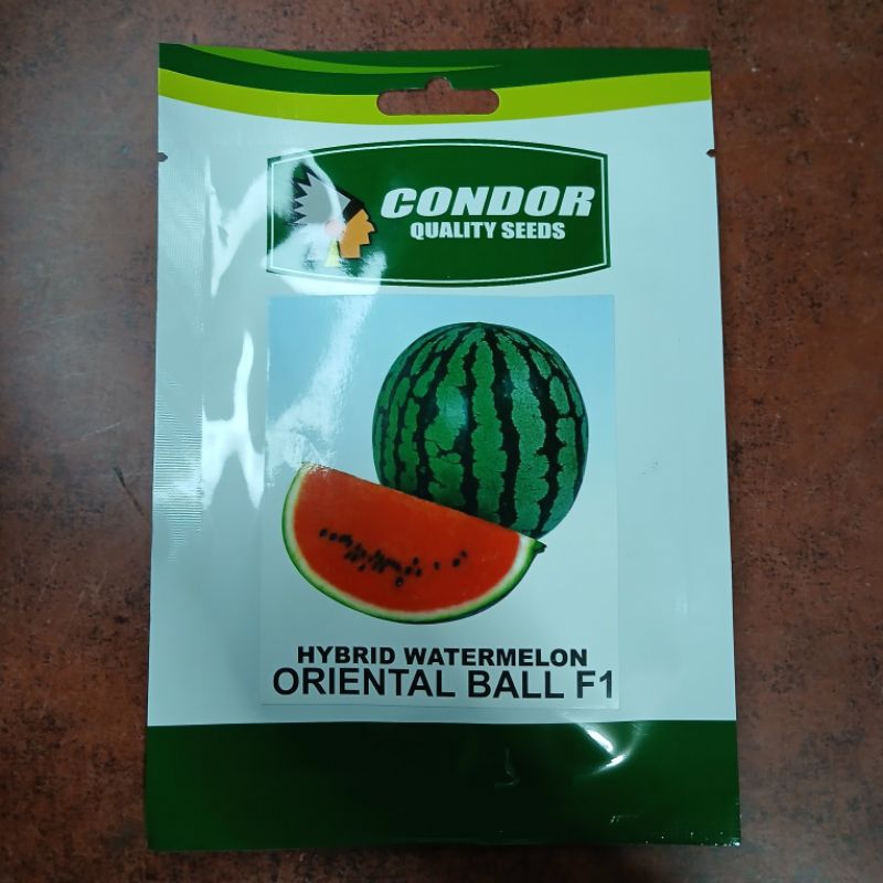 Oriental Ball F1 (2 grams) Hybrid Watermelon / Pakwan by Condor ...