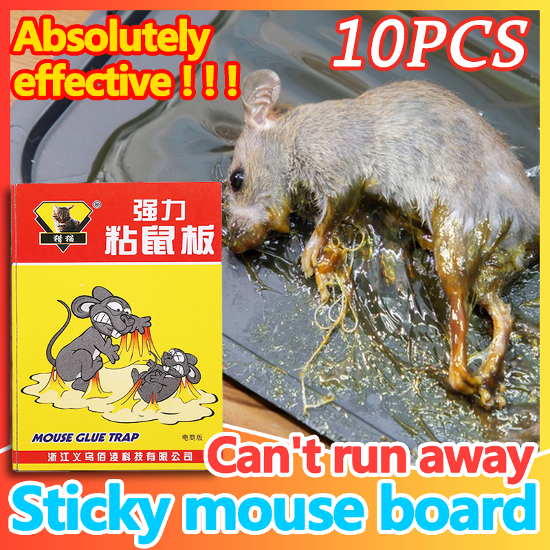 Sticky mouse board 10PCS Mouse trapfor big rats heavy duty Daga killer ...