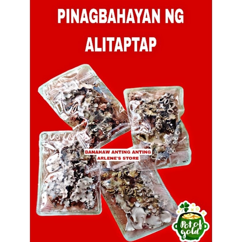 PINAGBAHAYAN NG ALITAPTAP(4pcs) | Shopee Philippines