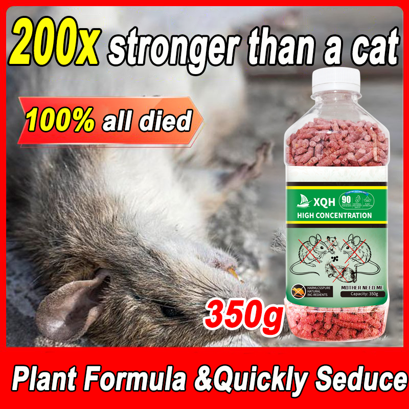 Rat Poison 200x Stronger Than a Cat rat killer poison 350g Harmless to ...