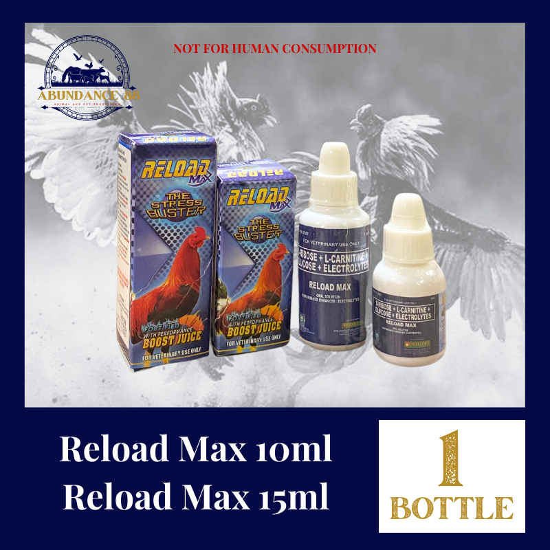 EXCELLENCE RELOAD MAX ORAL SOLUTION (5ML/15ML) | Shopee Philippines