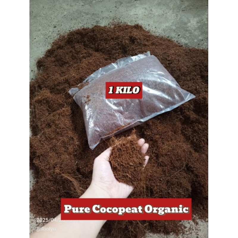 1KG COCOPEAT PURE HIGH QUALITY pang Halo sa Lupa panaba sa HALAMAN ...