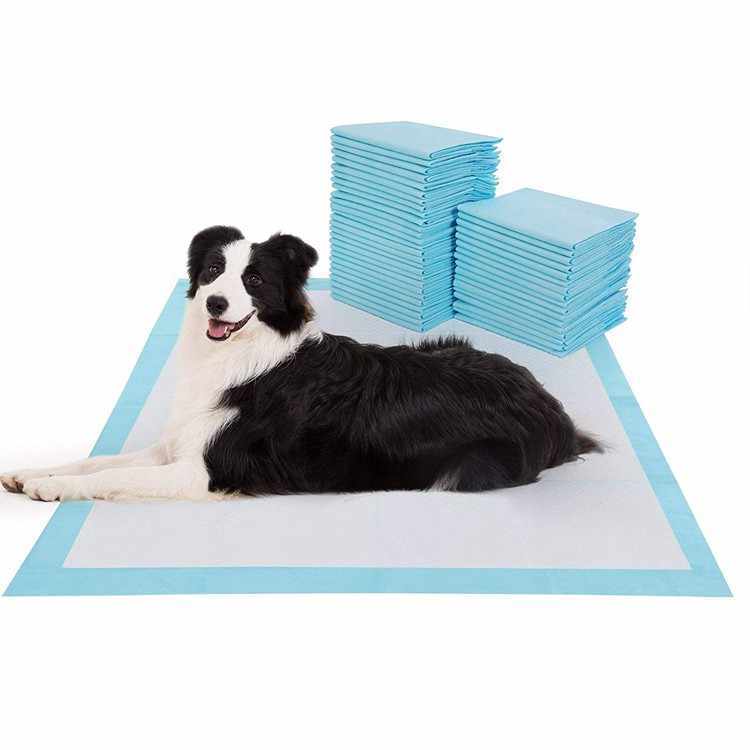 Oli&Choi Pet Pee Pad, Regular Absorbent Pee Pad, All kinds of pets, S ...
