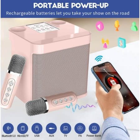 KST-203 Professional Portable Karaoke 3D Stereo Speaker with Dual ...