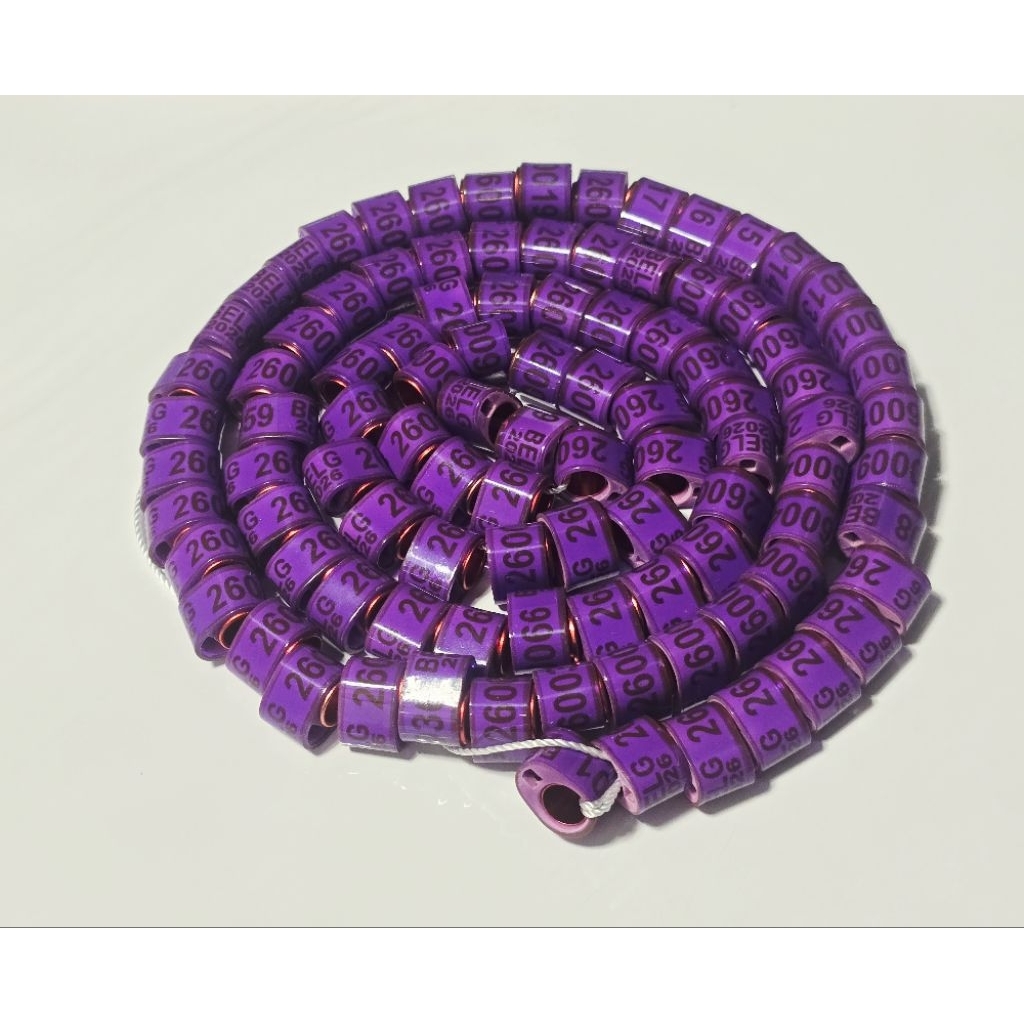 1pcs for 20pesos Comring BELG Oval 2026 with inner ring / without inner ...