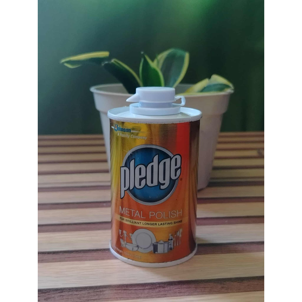 Metal polish (PLEDGE) | Shopee Philippines