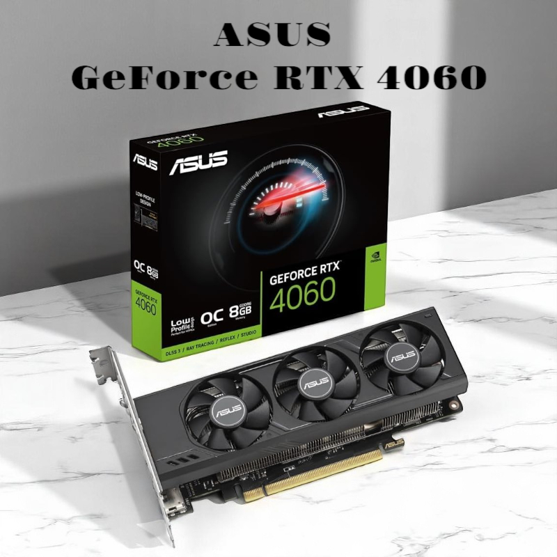 ASUS RTX4060-O8G-LP-BRK 8GB GDDR6 Low Profile GPU DLSS 3 Ray Tracing ...