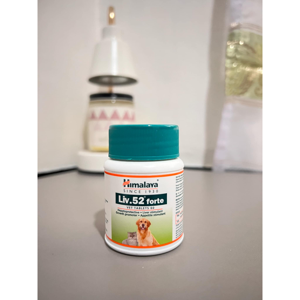 Himalaya Liv 52 forte 60 Tablets 1xBottle | Shopee Philippines