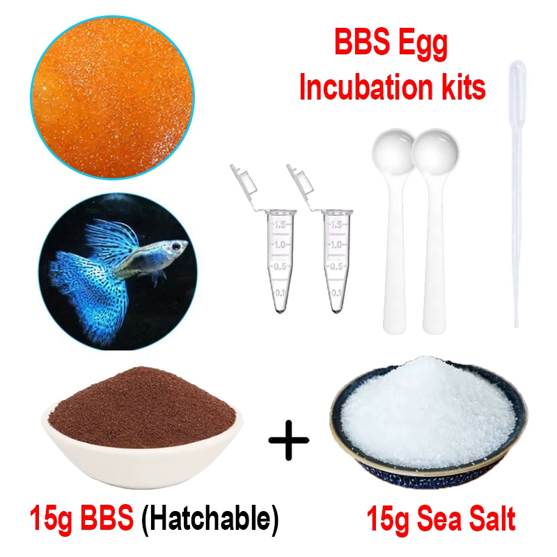 Baby Brine Shrimp Eggs Feeding Set Hatchable BBS for fish food Dropper ...