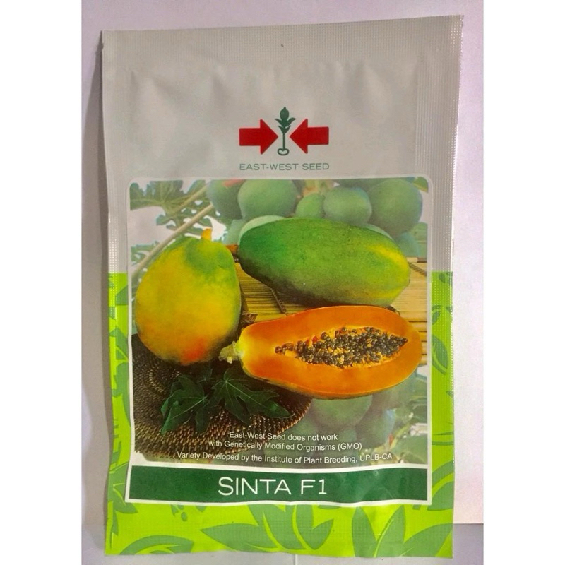Sinta papaya 100 seeds east west seeds | Shopee Philippines