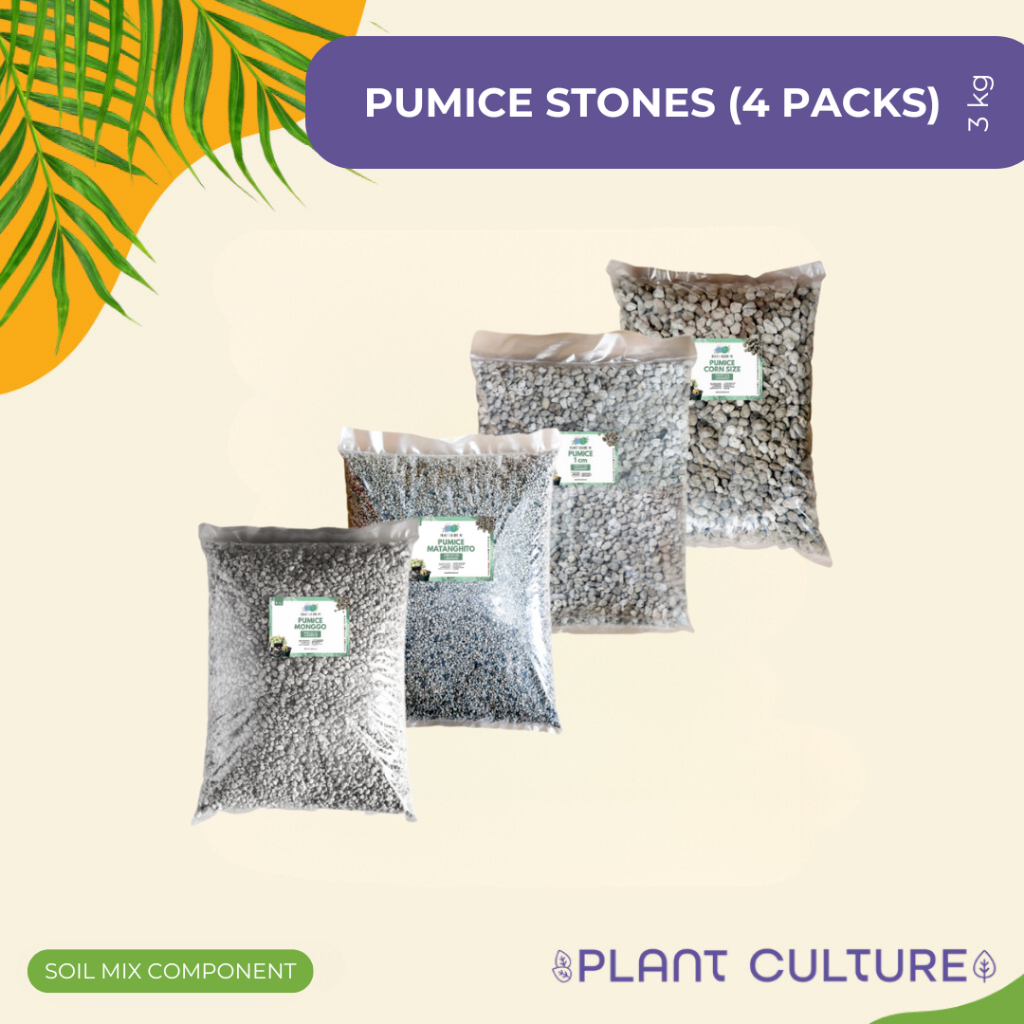 Pumice Stones 3Kg x 4 Bundle | Matangito * Monggo * 1Cm * Corn * 3/8 ...