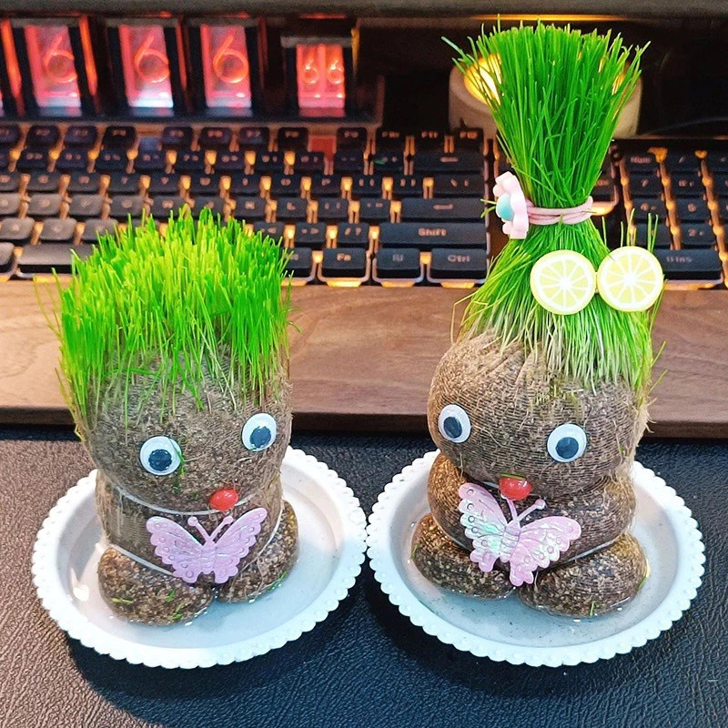 Grass Head Room Decor Children Growing Grass Doll Toys Indoor Office ...