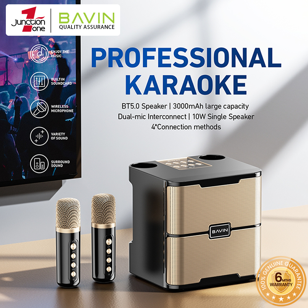 BAVIN BM22 Karaoke Bluetooth 5.0V Mini Amplifier Wireless Speaker with ...
