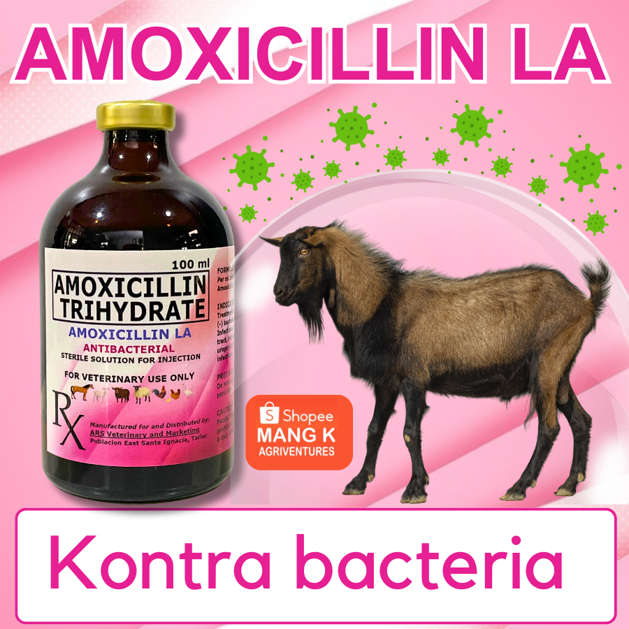 AMOXICILLIN LA | Antibacterial Solution for Injection (IM) | Shopee ...