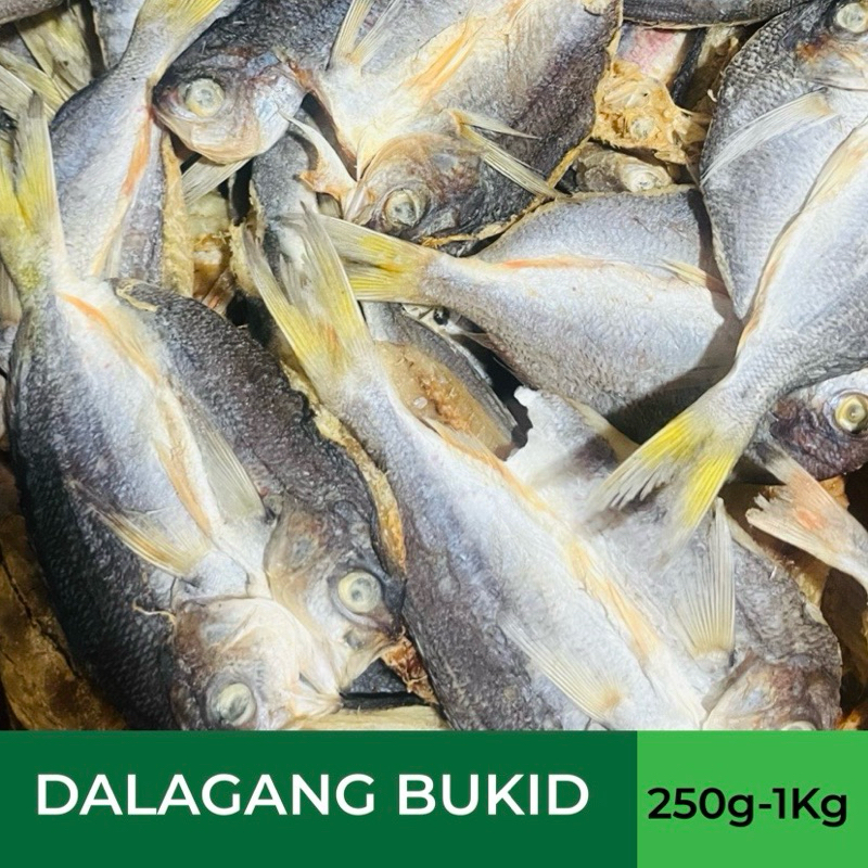 DFP Dried Dalagang Bukid 250g | 500g | 1Kg Dried Seafood | Shopee ...