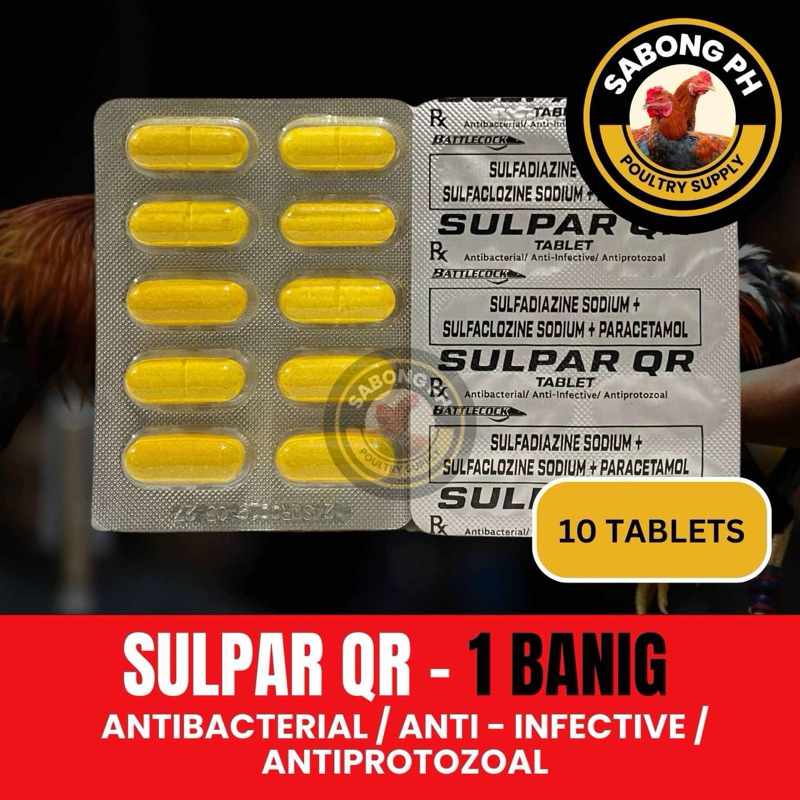 Sulpar QR Banig Tingi - 10 Tablets | Shopee Philippines